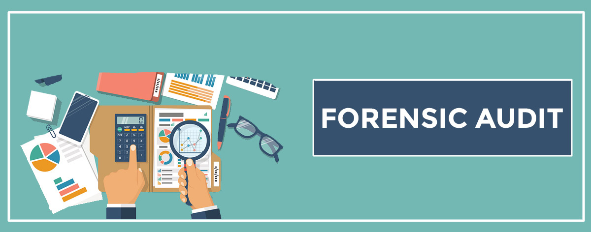Forensic Audit – Singh and Suri Company